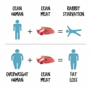 Macronutrients [Macros Masterclass FAQ #2] | Optimising Nutrition