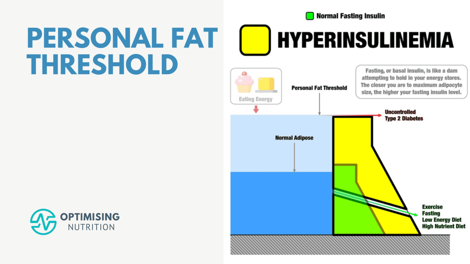 Your Personal Fat Threshold: The Key to Managing Your Weight and ...