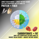 How to Stop Food Addiction: Learn Why You're Addicted and How to Break ...