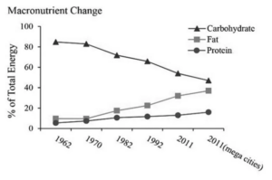 How to Stop Food Addiction: Learn Why You're Addicted and How to Break ...