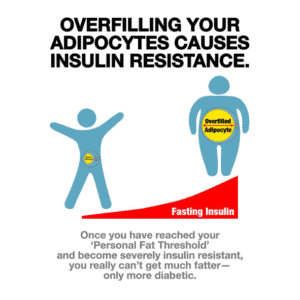 How to Reverse Insulin Resistance: A Comprehensive Guide | Optimising Nutrition