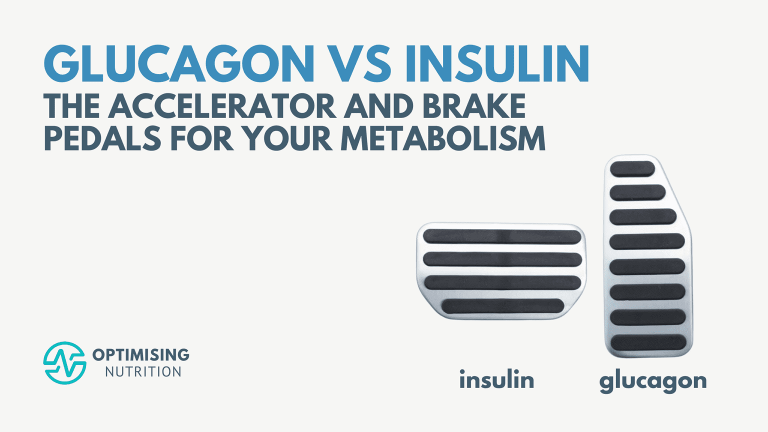 Glucagon vs Insulin: Finding Your Metabolic Balance | Optimising Nutrition