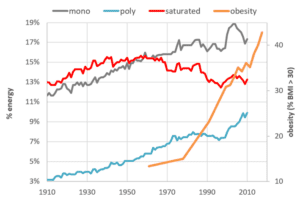 Exploring Dietary Cholesterol and Blood Cholesterol: Unveiling the ...