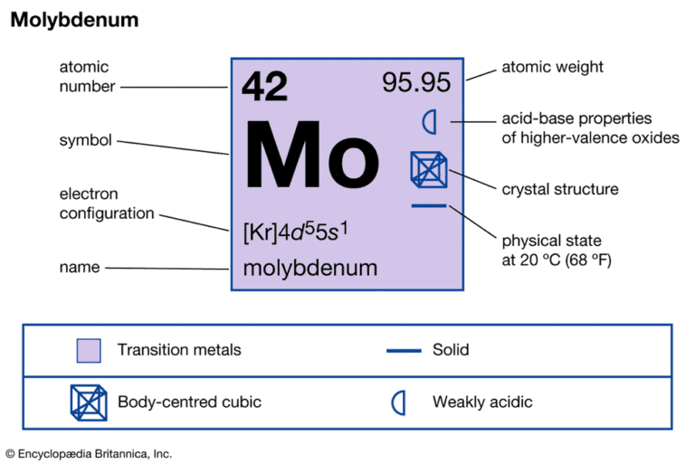 High Molybdenum Foods: A Detailed Guide on Molybdenum Rich Foods ...