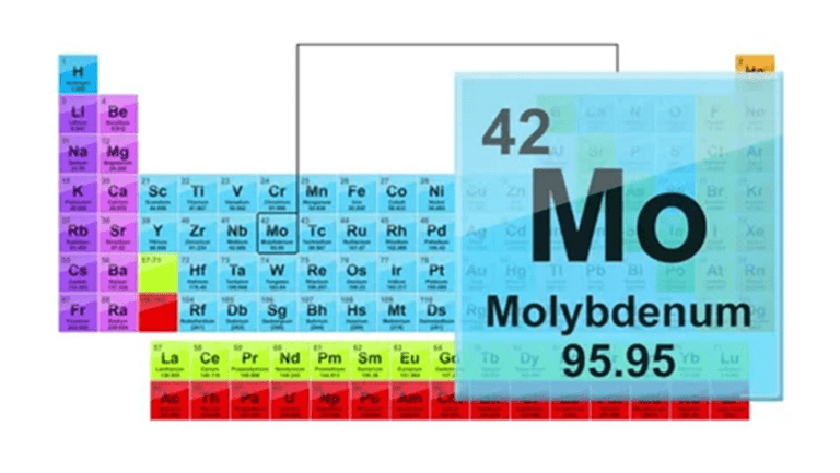 High Molybdenum Foods: A Detailed Guide on Molybdenum Rich Foods ...