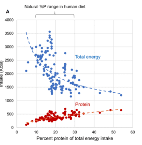 Satiety Index: The Secret to Long-lasting Fullness | Optimising Nutrition