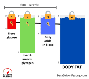 Glucose Spikes: Your Guide to Healthy Blood Sugars - Optimising Nutrition