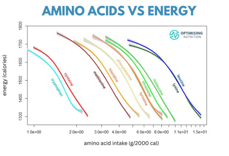 Amino Acids: Food Sources & Essential Functions - Optimising Nutrition