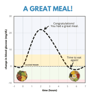 Blood Sugar and Hunger: Decoding the Intimate Relationship | Optimising ...